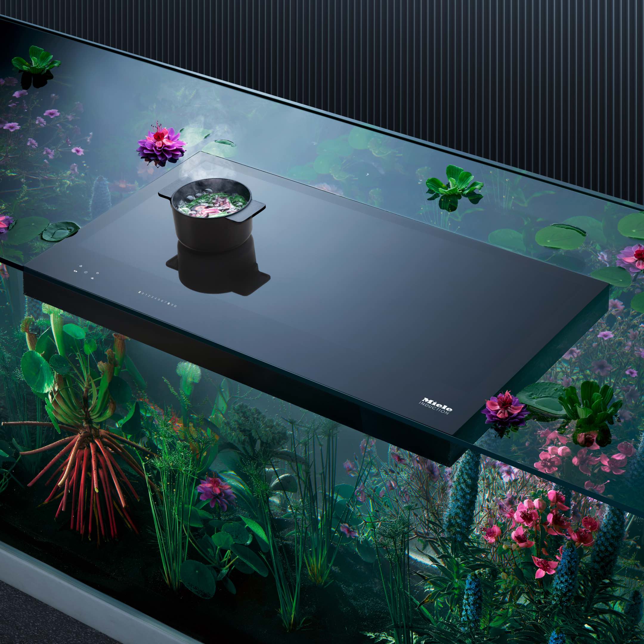 Choosing the perfect hob | Kitchen Articles | Truman Kitchens